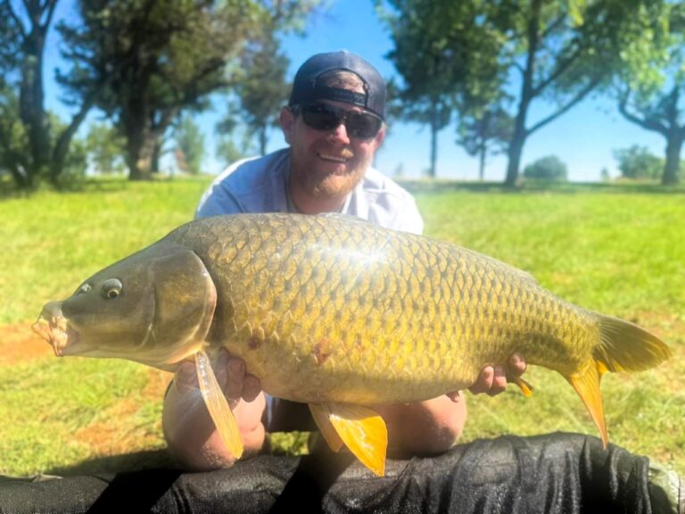 Donaldson Dam – Lekker Visvang Plekke