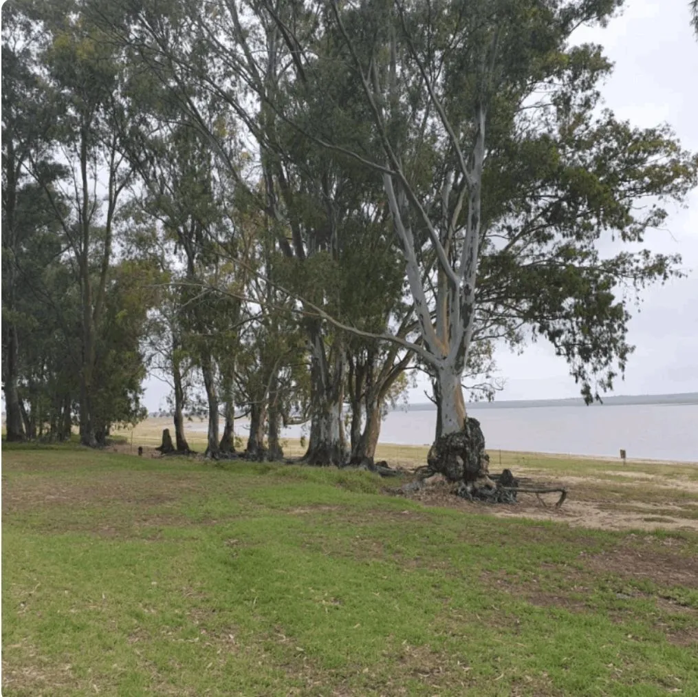 Mihanzi Vaalrivier. – Lekker Visvang Plekke